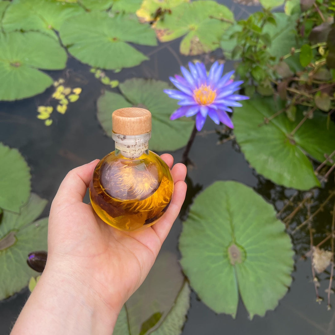 Apothecary – Aura Luna