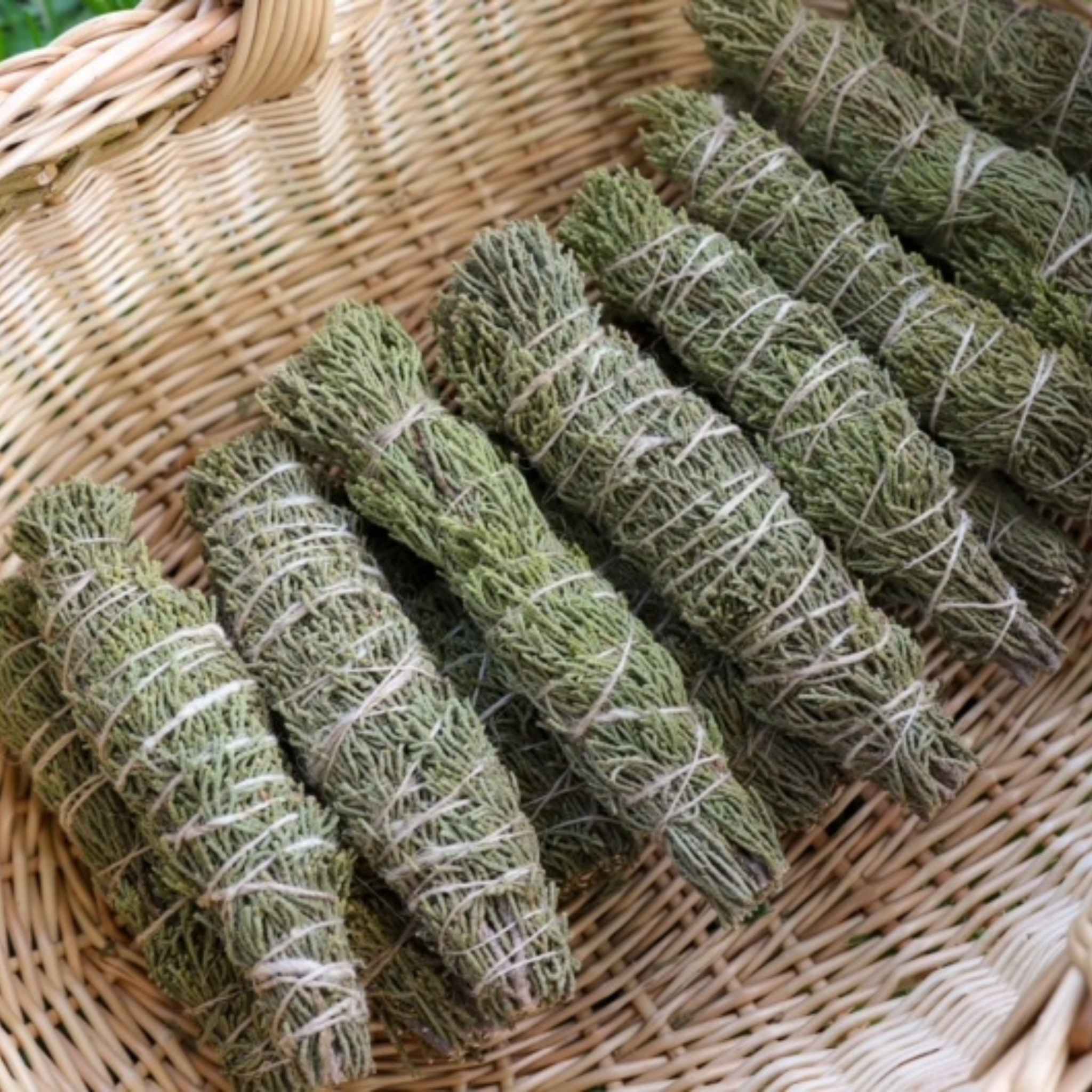 Juniper Bundles – Aura Luna