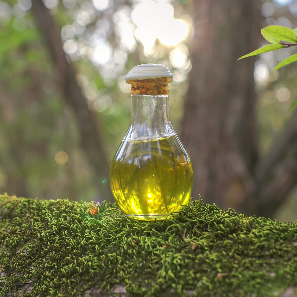 Apple Blossom Elixir – Aura Luna